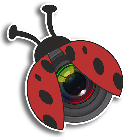 About Shutterbug